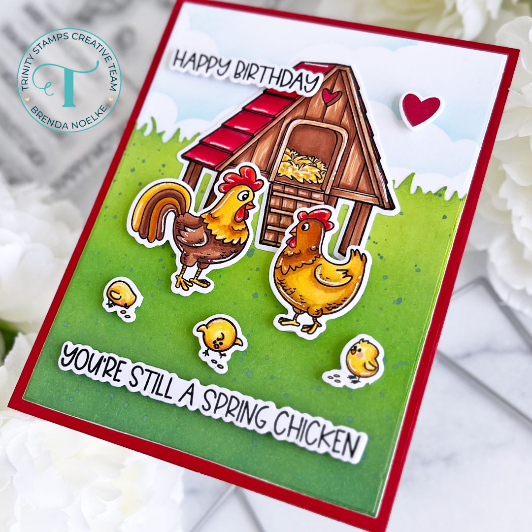 Happy Birthday Spring Chicken – Trinity Stamps
